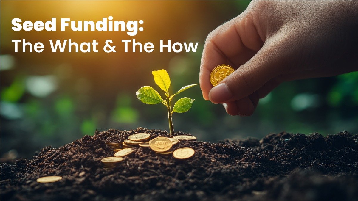 Seed Funding for Startups: What It Is & How It Works in 2024